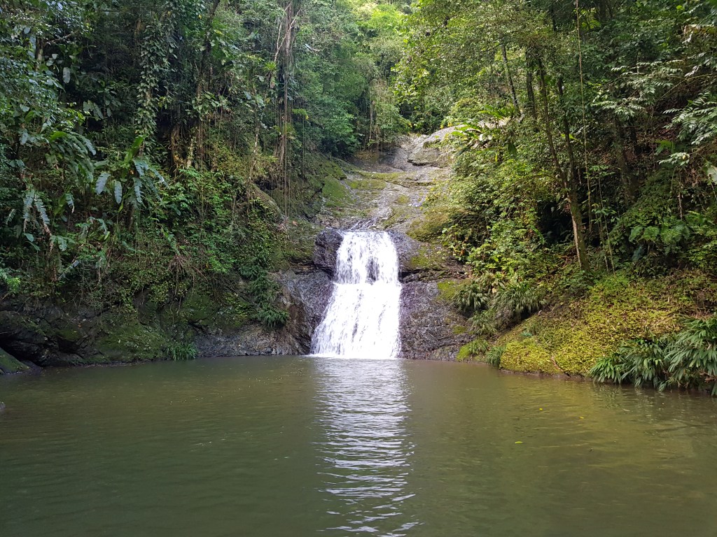 Hiking in Tobago? Part II – Twin River Falls – Celly Hikes