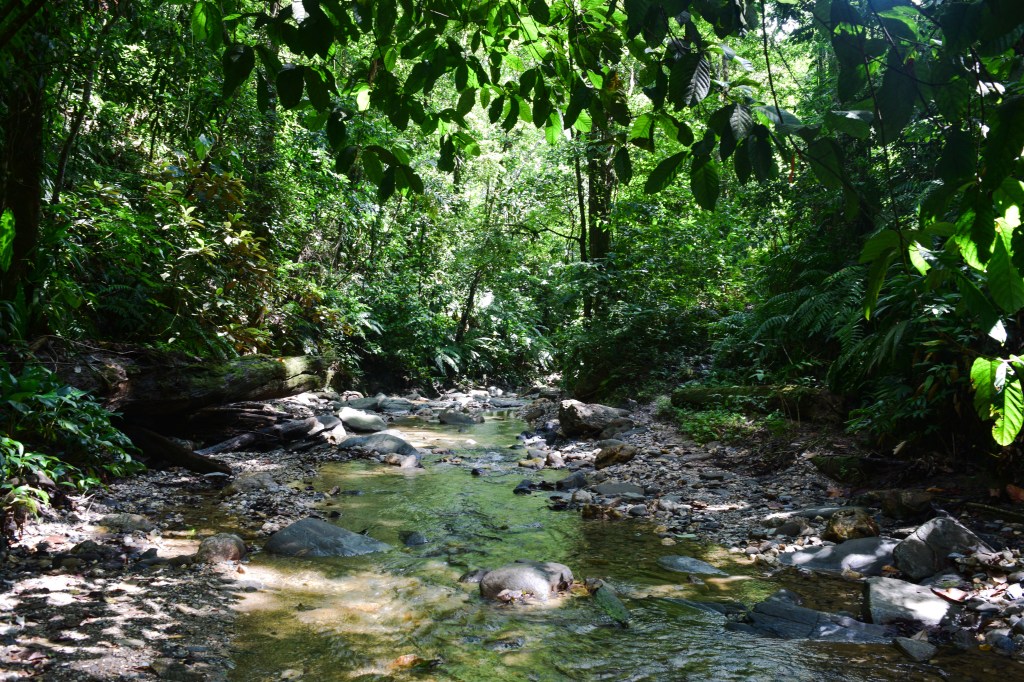 Turure Water Steps – One of my favorite spots in Trinidad – Celly Hikes