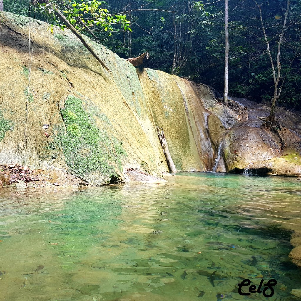 Turure Water Steps – One of my favorite spots in Trinidad – Celly Hikes