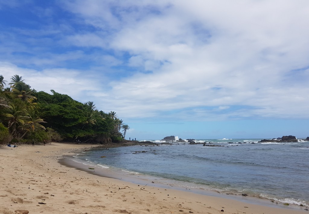 A beautiful Day at Forest Point Beach – Celly Hikes