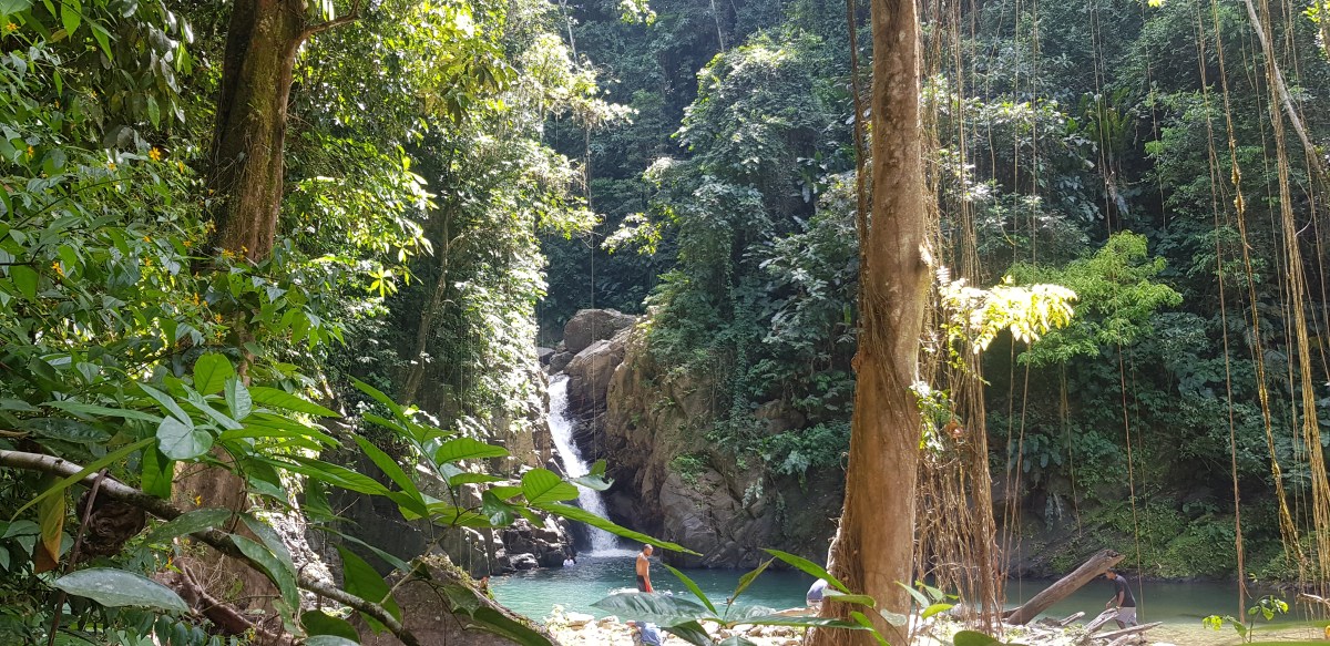 Ranking My Top 5 waterfalls in Trinidad – Celly Hikes