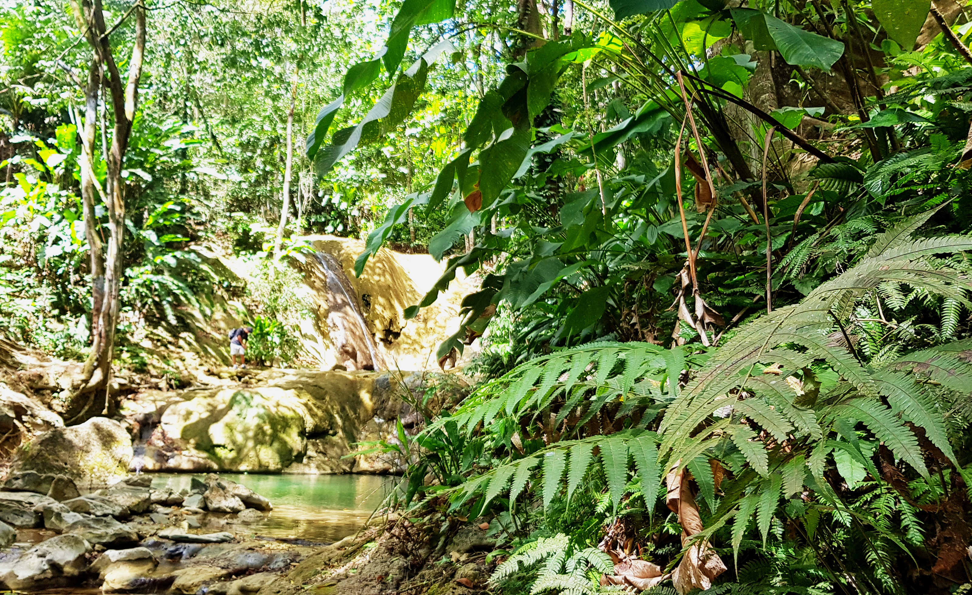 Aripo Blue Basins! What a beauty :) – Celly Hikes