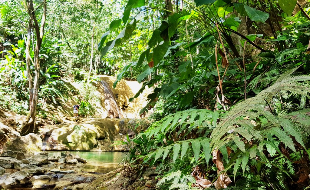 Aripo Blue Basins! What a beauty :) – Celly Hikes