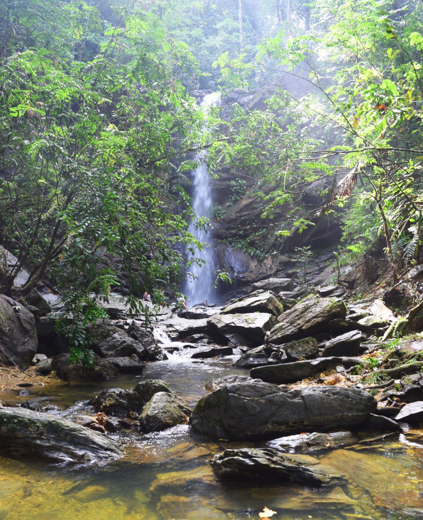 Avocat Waterfall – Celly Hikes