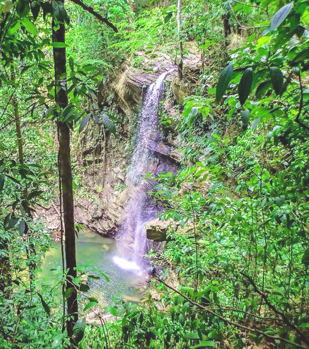 Avocat Waterfall – Celly Hikes