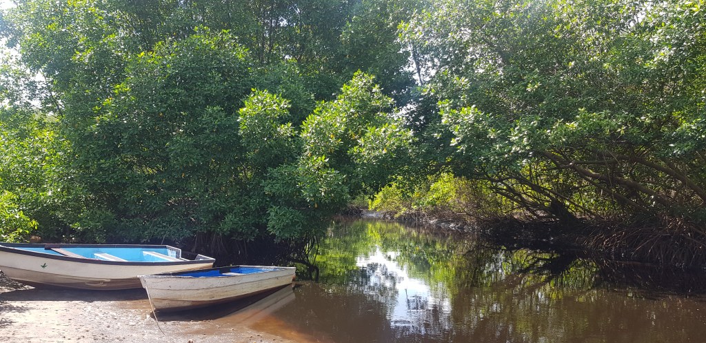 Nothing beats a Mayaro Road Trip :) Part I – Celly Hikes