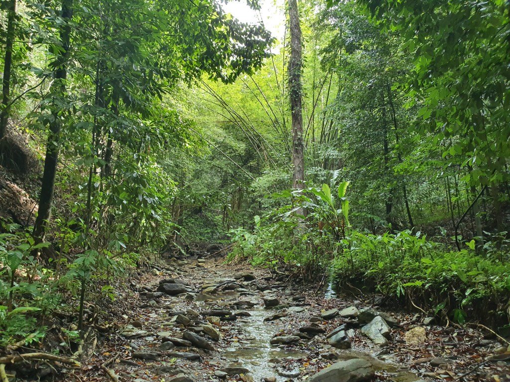 Covigne Gorges…the hidden gem of Chaguaramas – Celly Hikes