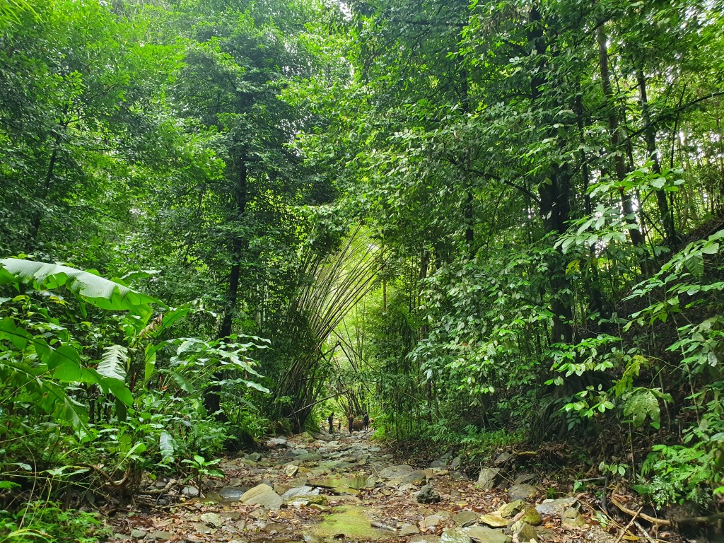 Covigne Gorges…the hidden gem of Chaguaramas – Celly Hikes