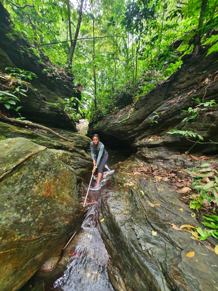 Covigne Gorges…the hidden gem of Chaguaramas – Celly Hikes