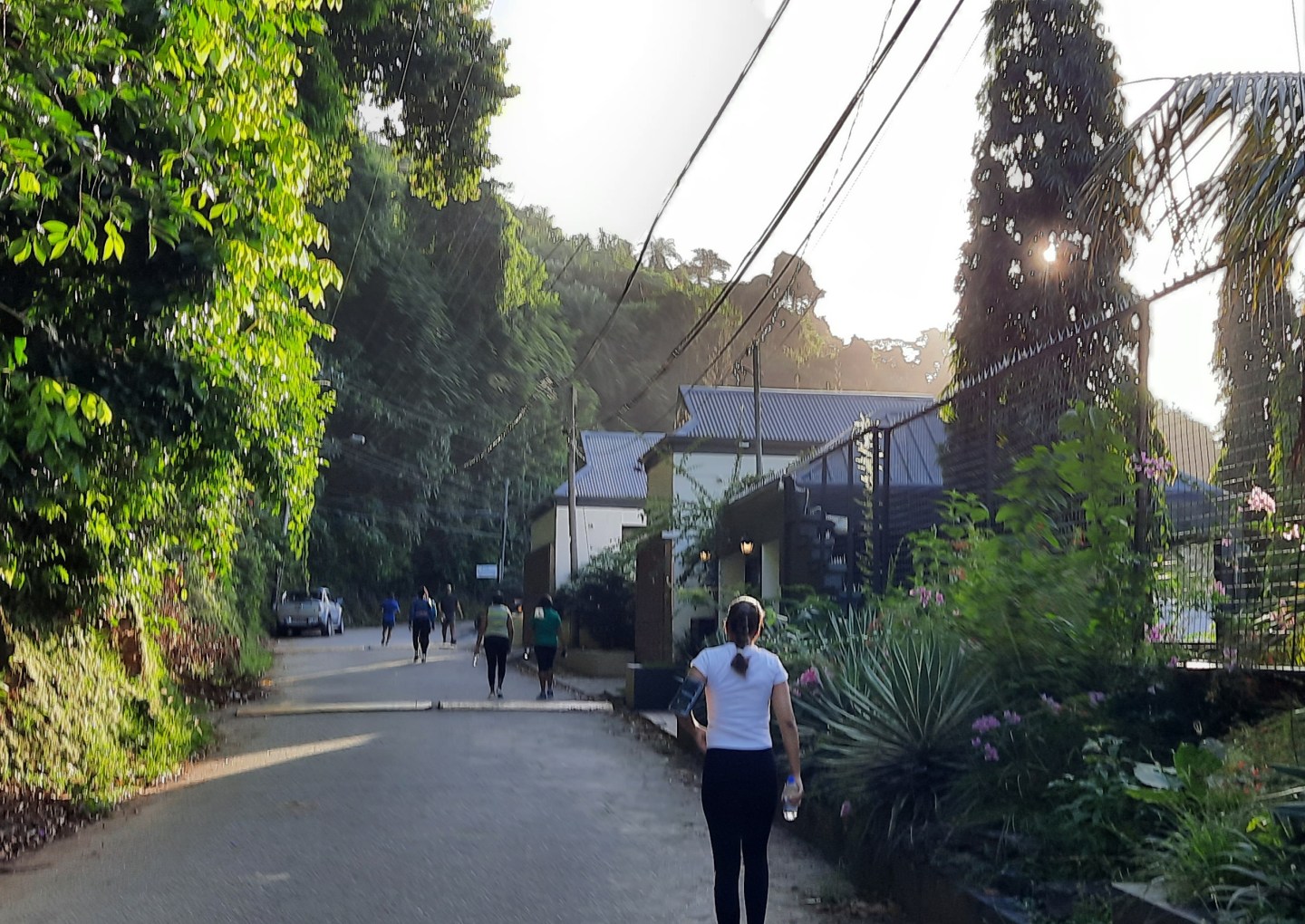Hike from Lady Chancellor Hill to Mt. Hololo – Celly Hikes