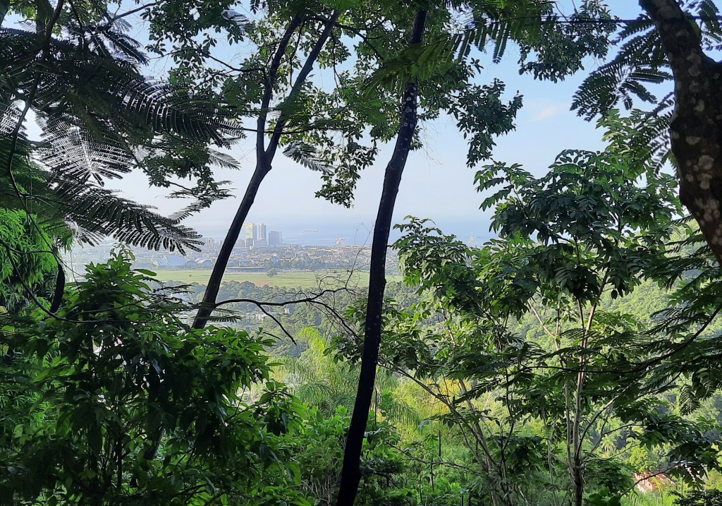 Hike from Lady Chancellor Hill to Mt. Hololo – Celly Hikes