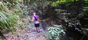 Hike from Lady Chancellor Hill to Mt. Hololo – Celly Hikes