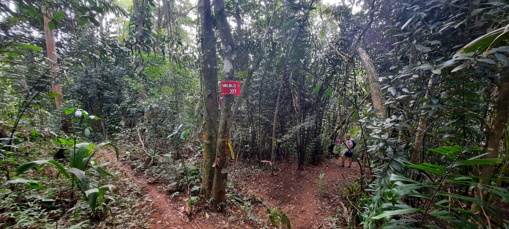 Hike from Lady Chancellor Hill to Mt. Hololo – Celly Hikes