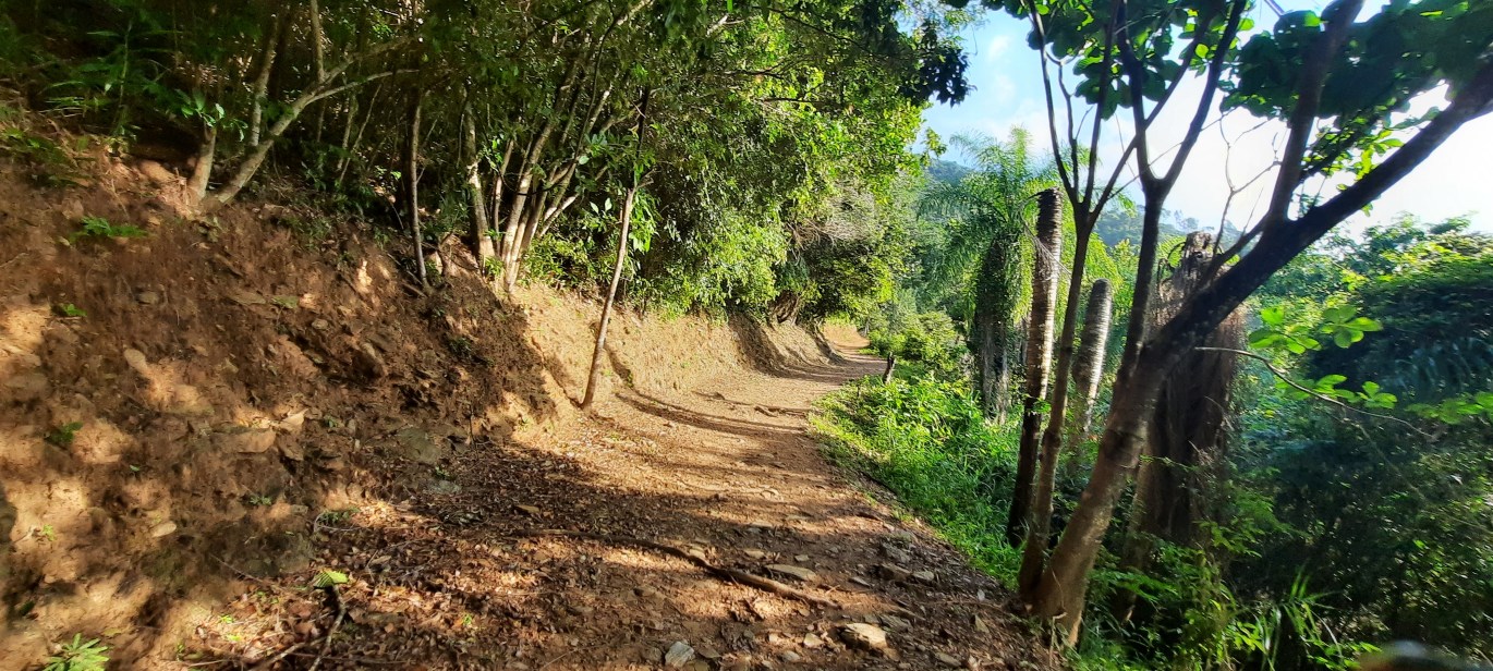 Hike from Lady Chancellor Hill to Mt. Hololo – Celly Hikes