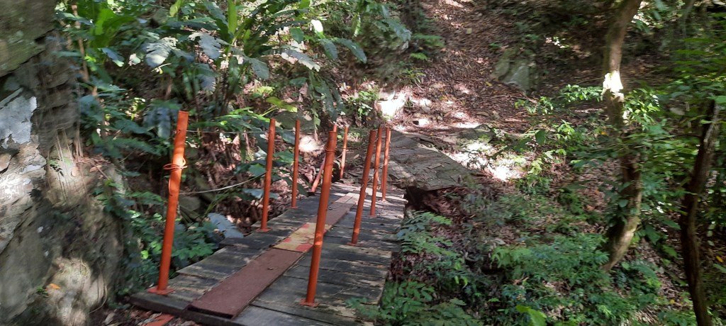 Hike from Lady Chancellor Hill to Mt. Hololo – Celly Hikes