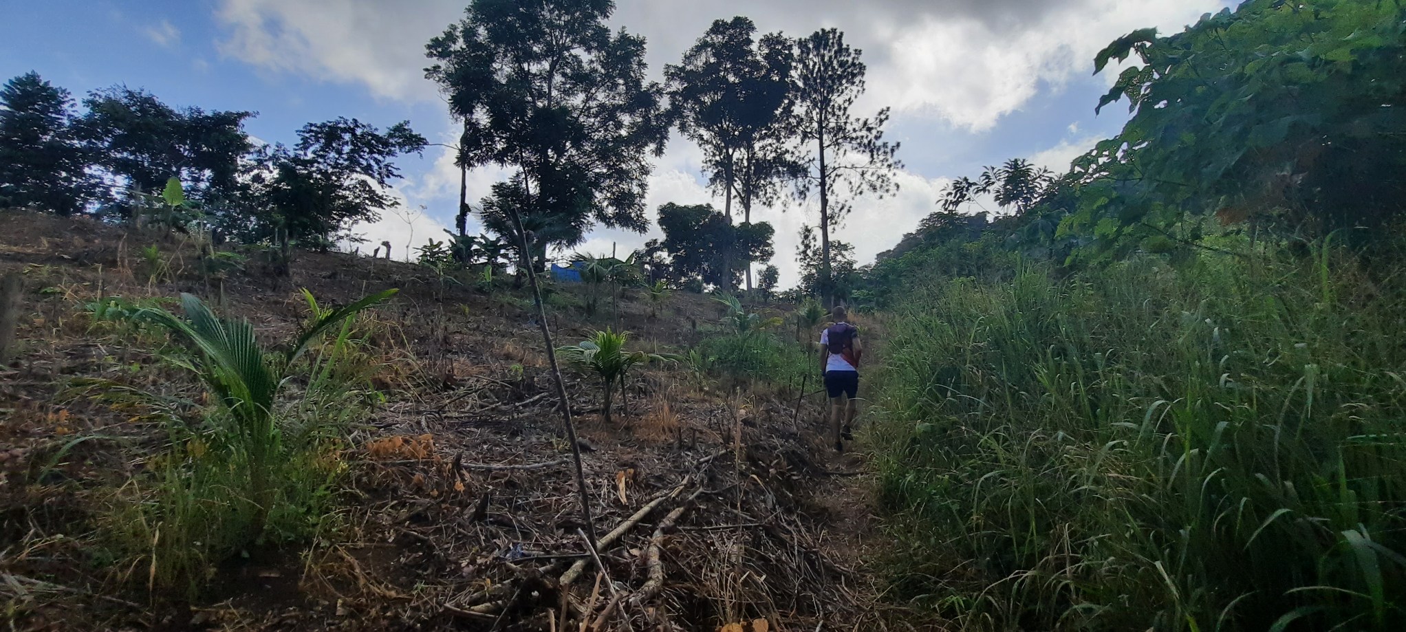 Hike from Lady Chancellor Hill to Mt. Hololo – Celly Hikes