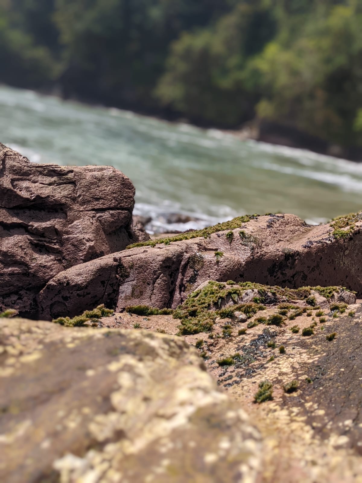 Hike to Negmawah Bay, North Coast, Trinidad – Celly Hikes