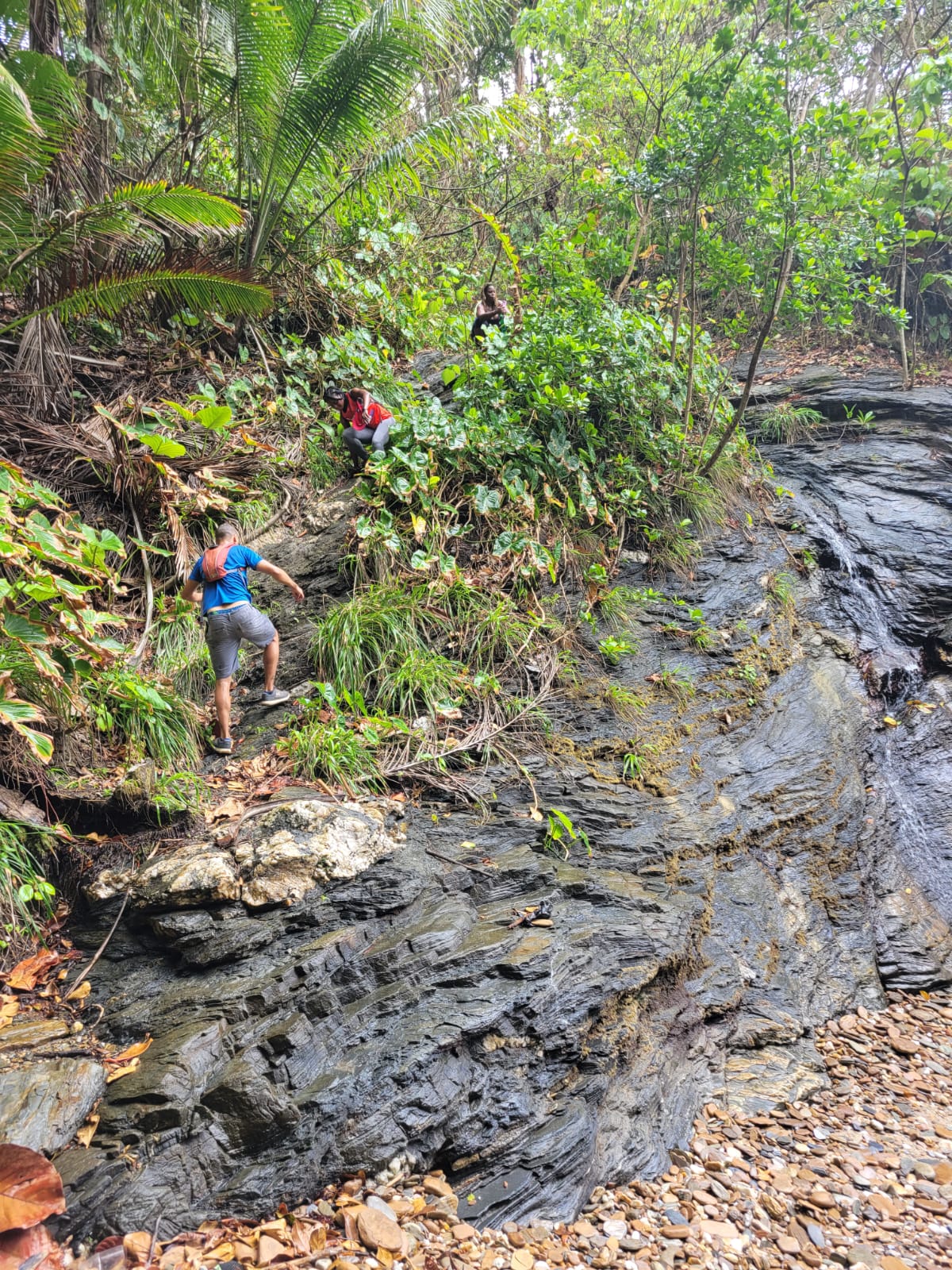 Hike to Negmawah Bay, North Coast, Trinidad – Celly Hikes