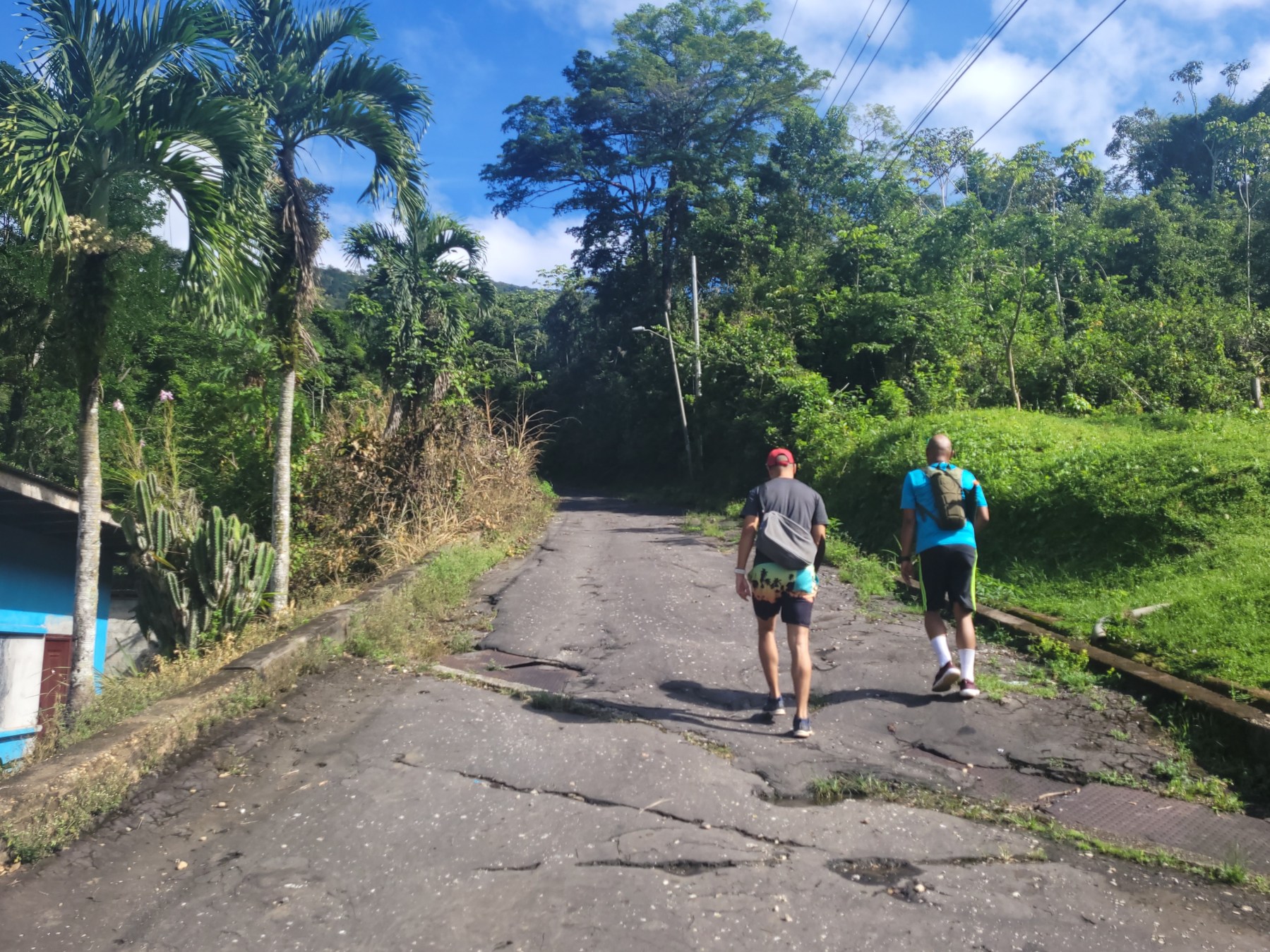 Maracas Waterfall – The Tallest Waterfall in TnT – Celly Hikes