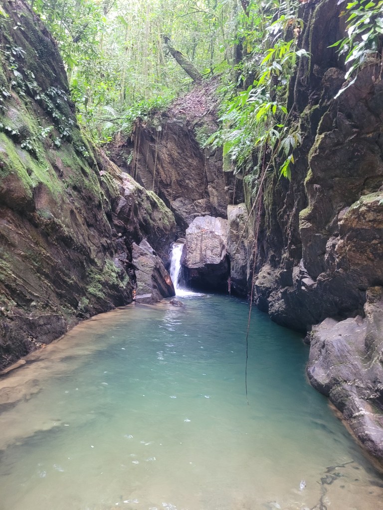 Hike to Twin Falls in Brasso Seco Village, Trinidad – Celly Hikes