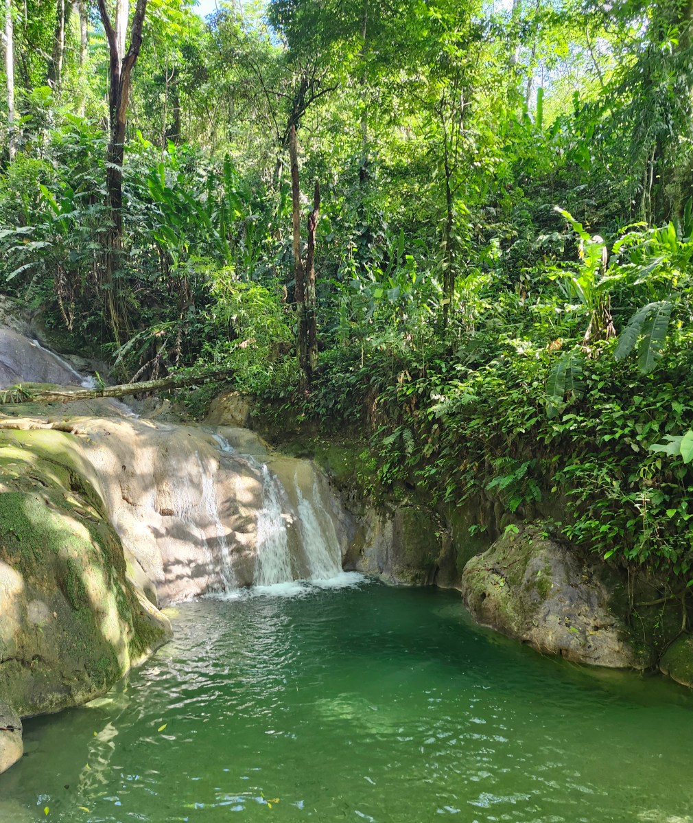 2 waterfalls, 1 day – Aripo Falls & Aripo Blue Basins – Celly Hikes